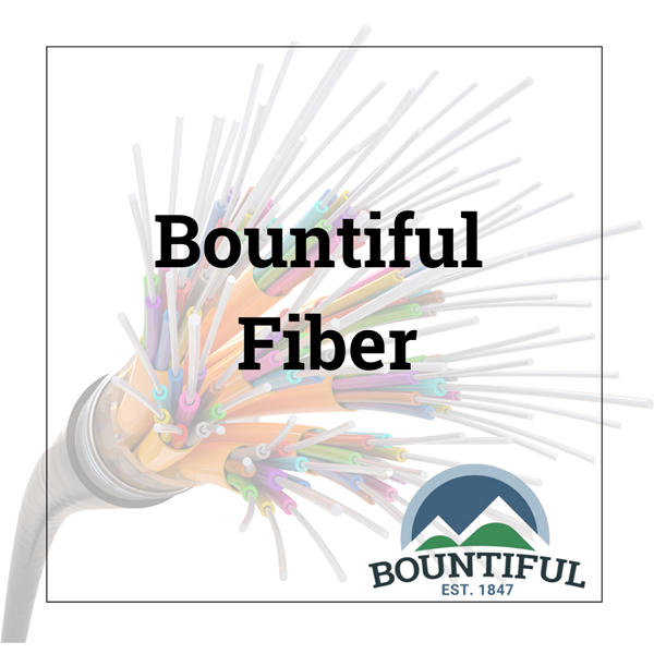 Bountiful Fiber